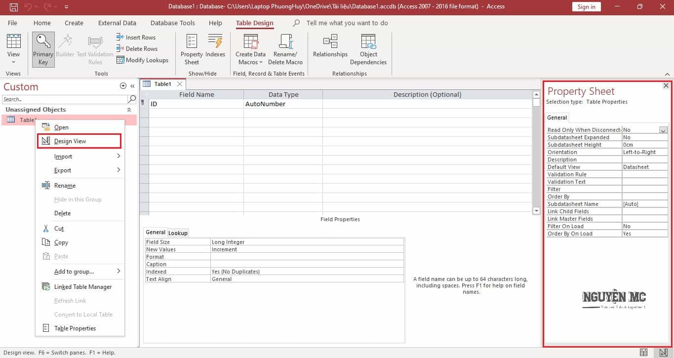 Hướng dẫn tự học Access 2021 từ A đến Z - Nguyện MC